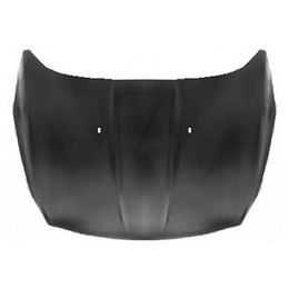 Van Wezel Motorhaube 1906670 f&uuml;r Ford