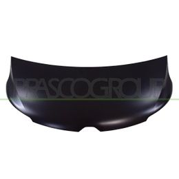 PRASCO Motorhaube rn9583100 f&uuml;r RENAULT