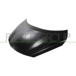 PRASCO Motorhaube ds0163100 f&uuml;r NISSAN