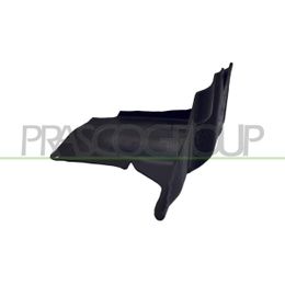 PRASCO Motorraumd&auml;mmung ci9071903 unten f&uuml;r Peugeot