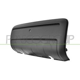 PRASCO Blende, Sto&szlig;f&auml;nger ft1252156 hinten f&uuml;r Fiat