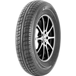 Sava Sommerreifen 585153
