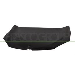 PRASCO Motorhaube rn4243100 f&uuml;r RENAULT
