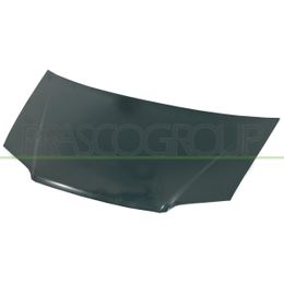 PRASCO Motorhaube ft3503100 f&uuml;r FIAT
