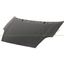 PRASCO Motorhaube ft3423130 f&uuml;r Fiat