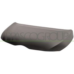 PRASCO Motorhaube ty0203100 f&uuml;r TOYOTA