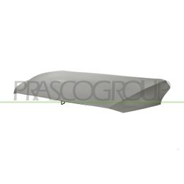 PRASCO Motorhaube mg6023100