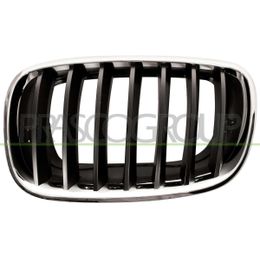 PRASCO K&uuml;hlergitter bm8222004 links f&uuml;r BMW