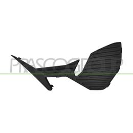 PRASCO L&uuml;ftungsgitter, Sto&szlig;f&auml;nger pg4322114 vorne links f&uuml;r Peugeot