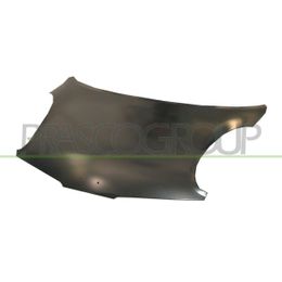 PRASCO Motorhaube ds0113100 f&uuml;r NISSAN