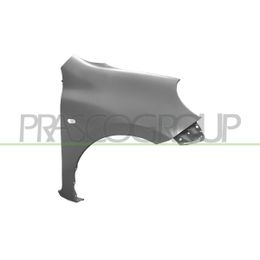 PRASCO Kotfl&uuml;gel ds0143013 vorne rechts f&uuml;r NISSAN