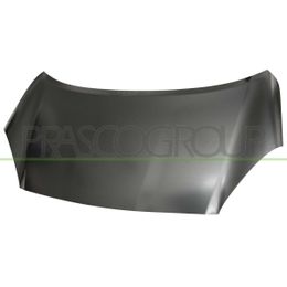 PRASCO Motorhaube ds0143100 f&uuml;r NISSAN