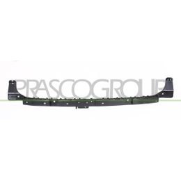PRASCO Halter, Sto&szlig;f&auml;nger ts3001055 hinten f&uuml;r TESLA