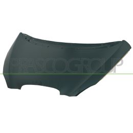 PRASCO Motorhaube st3203130 f&uuml;r SEAT