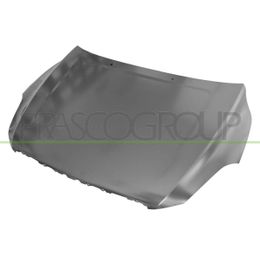PRASCO Motorhaube vv6103110 f&uuml;r Volvo