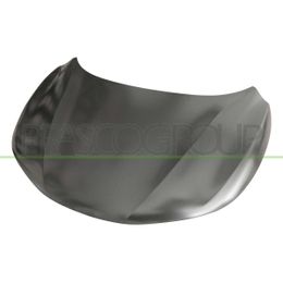 PRASCO Motorhaube ds7123130 f&uuml;r NISSAN
