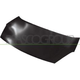 PRASCO Motorhaube ci9183130 f&uuml;r Peugeot