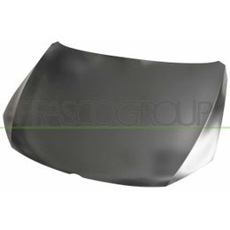 PRASCO Motorhaube vg5223100 f&uuml;r VW