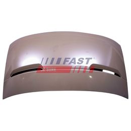 Fast Motorhaube ft89118 vorne f&uuml;r Iveco