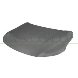 PRASCO Motorhaube mb8263100 f&uuml;r MITSUBISHI