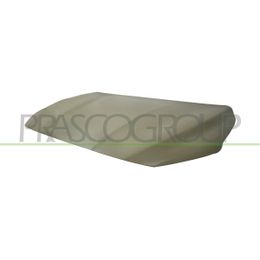 PRASCO Motorhaube mg5003100 f&uuml;r MOTO GUZZI