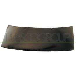 PRASCO Motorhaube ft1503100 f&uuml;r Peugeot Fiat