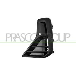 PRASCO L&uuml;ftungsgitter, Sto&szlig;f&auml;nger bm8112134 vorne links f&uuml;r BMW