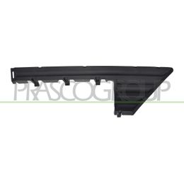 PRASCO L&uuml;ftungsgitter, Sto&szlig;f&auml;nger pg4322214 vorne links f&uuml;r Peugeot