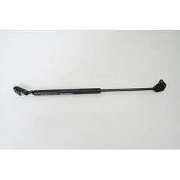 TRISCAN Gasfeder, Koffer-/Laderaum 871043222 links f&uuml;r HYUNDAI
