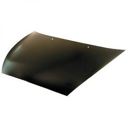 DIEDERICHS Motorhaube 1460100 f&uuml;r Ford