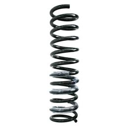 SPIDAN Fahrwerksfeder 85914 Hinterachse f&uuml;r Ford