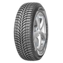 Sava Winterreifen 539170 195/60 R15 88T