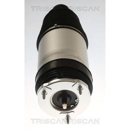 TRISCAN Luftfeder, Fahrwerk 872081101 f&uuml;r Tesla
