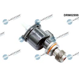 DR.MOTOR AUTOMOTIVE Unterdruckpumpe, Bremsanlage drm02999 f&uuml;r Ford VW