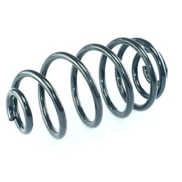 CS GERMANY Fahrwerksfeder 14774253 Hinterachse