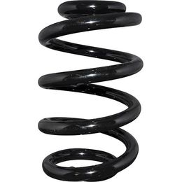 JP Group Fahrwerksfeder Vorderachse 1242206100 f&uuml;r Opel GM NISSAN RENAULT