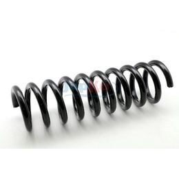JAPKO Fahrwerksfeder zcj5366a Hinterachse