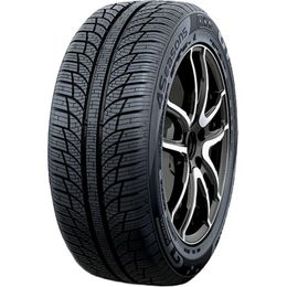 GT RADIAL Ganzjahresreifen 100a4294