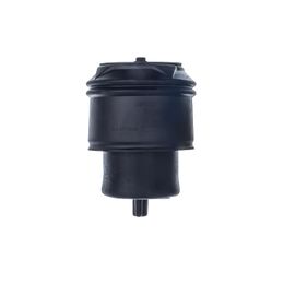 DENCKERMANN Luftfeder, Fahrwerk dsa129g Hinterachse f&uuml;r Citro&euml;n/Peugeot