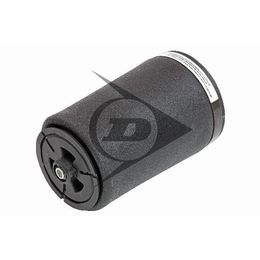 AIC Luftfeder, Fahrwerk 71098 Hinterachse links f&uuml;r BMW