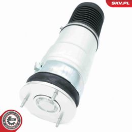 ESEN SKV Luftfeder, Fahrwerk 58skv078 hinten f&uuml;r BMW
