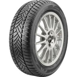STAR PERFORMER - REIFEN Winterreifen 221031599 205/65 R15 99H