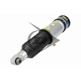 AIC Luftfederbein 71104 Hinterachse rechts f&uuml;r BMW