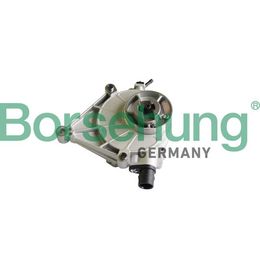 BORSEHUNG Unterdruckpumpe, Bremsanlage b12221 f&uuml;r BMW