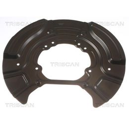 TRISCAN Spritzblech, Bremsscheibe 812511139 Hinterachse f&uuml;r BMW