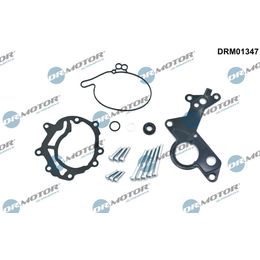 DR.MOTOR AUTOMOTIVE Reparatursatz, Unterdruckpumpe (Bremsanlage) drm01347 f&uuml;r Ford VW
