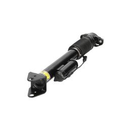 KAVO PARTS Luftfederbein sas10007 Hinterachse