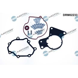 DR.MOTOR AUTOMOTIVE Reparatursatz, Unterdruckpumpe (Bremsanlage) drm02233 f&uuml;r VW