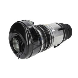 DUNLOP AIRSUSPENSION Luftfeder, Fahrwerk 77306 Vorderachse f&uuml;r Audi VAG