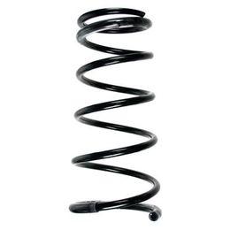 SPIDAN Fahrwerksfeder 55874 Vorderachse f&uuml;r NISSAN